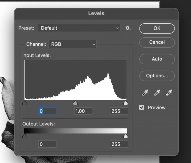 How to create an NFT step by step - Dane Wesolko